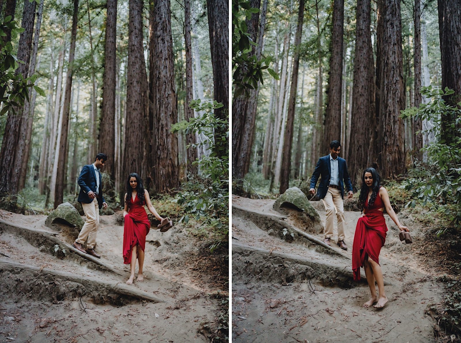 Indian Engagement Photos | Henry Cowell Redwoods State Park | Wedding ...