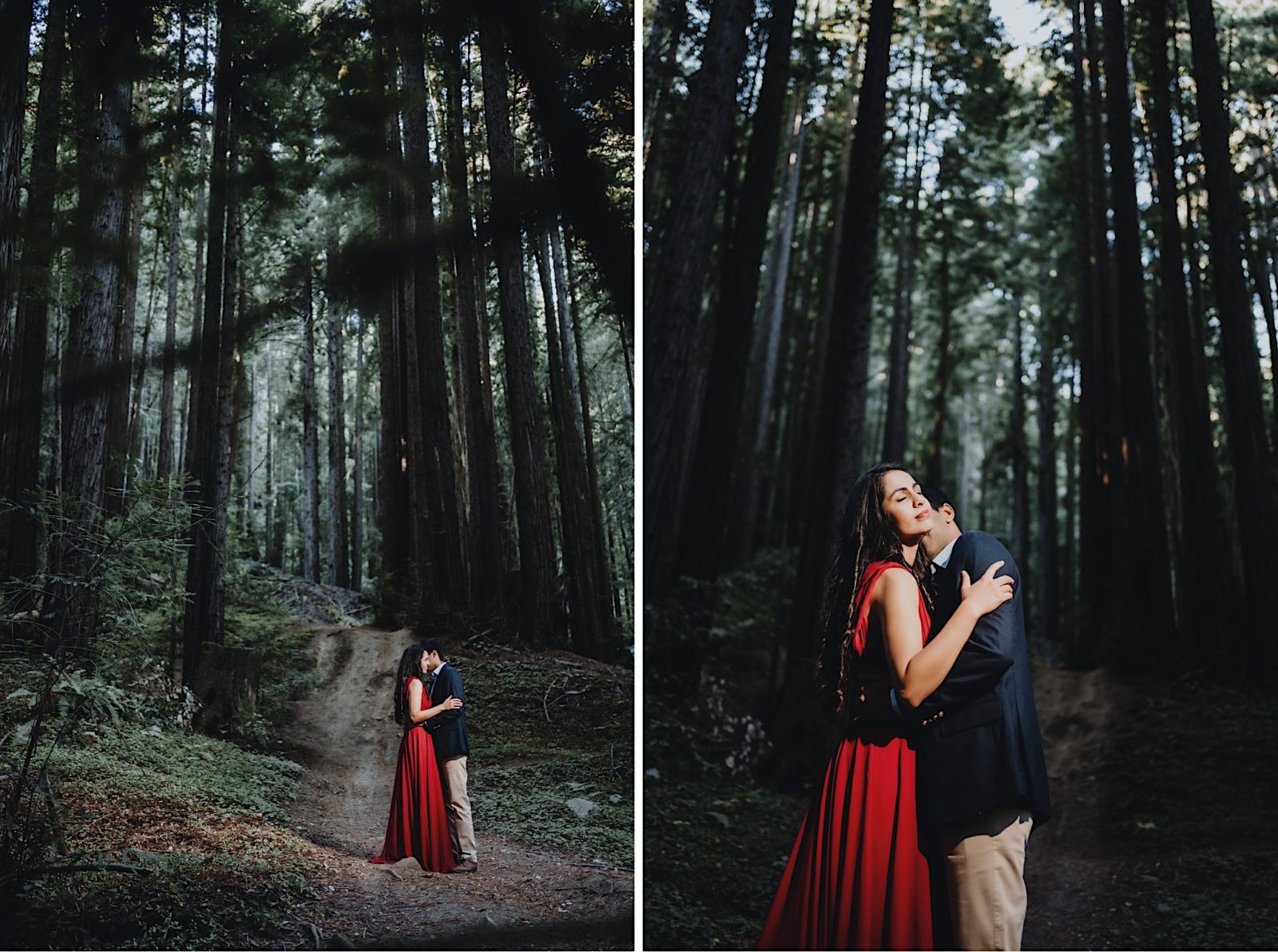 Indian Engagement Photos | Henry Cowell Redwoods State Park | Wedding ...